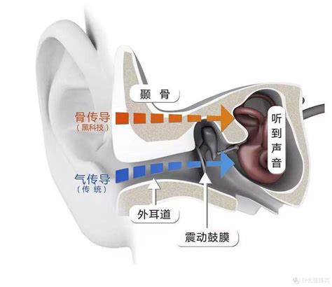 为什么我抛弃了入耳耳机、半入耳耳机、头戴式耳机，选择骨传导耳机？骨传导真的够用了？带你听见骨传导蓝牙耳机什么值得买