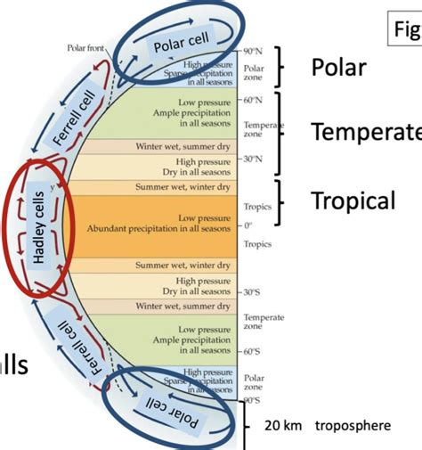 Ecology Midterm Unit 1 4 2 Diagram Quizlet