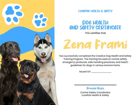 Free Editable Fire Safety Certificate Template To Edit Online