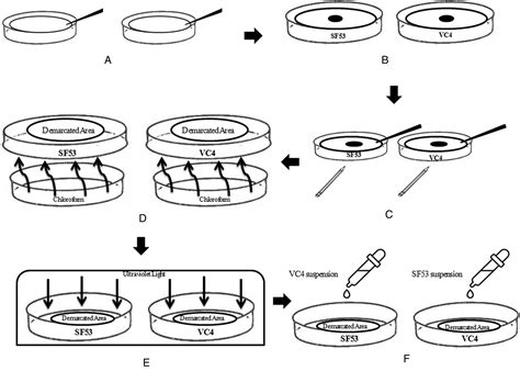 In Vitro Compatibility And Nematicidal Activity Of Monacrosporium