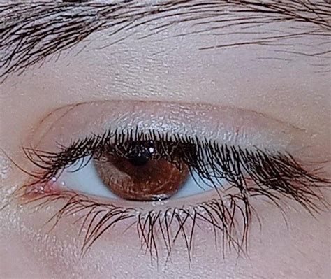 عين بنية Quick