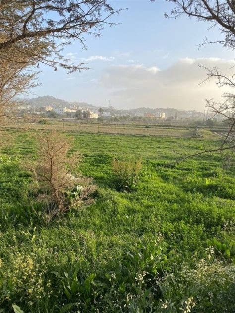 من مدينة النماص، السعودية Natural Landmarks Landmarks Nature