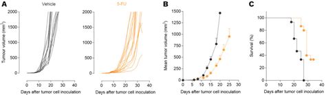 Ct26 Syngeneic Mouse Model Of Colon Cancer I Cro Services
