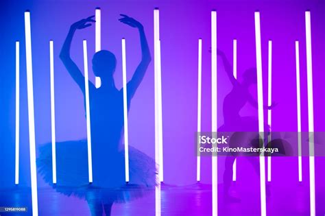 발레 댄서 젊은 여성의 그림자의 콜라주 밝은 네온 조명어두운 스튜디오에서 춤과 포즈 흰색 투투와 포인테 슈즈를 입은 날씬한 모델의 실루엣 발레 학교 포스터 가냘픈에 대한