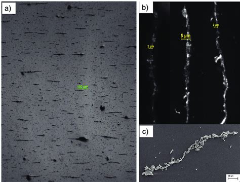 A Scmoke Experimental Setup The Primary Difference Between Scmoke