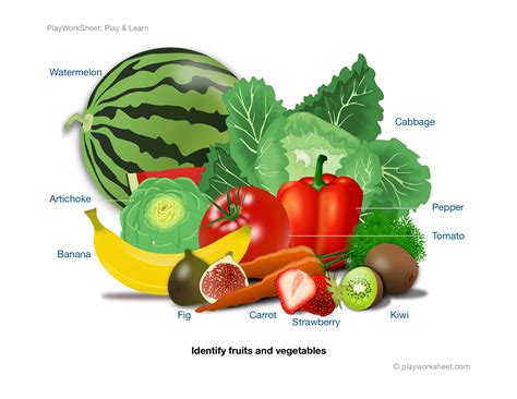 Identify Various Fruits And Vegetables From An Illustration Picture