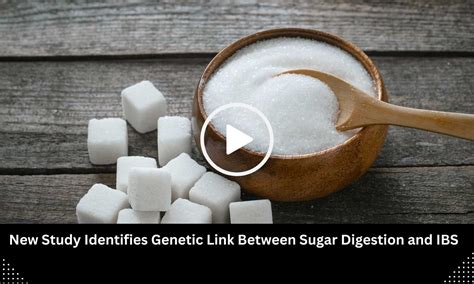 New Study Identifies Genetic Link Between Sugar Digestion And Ibs