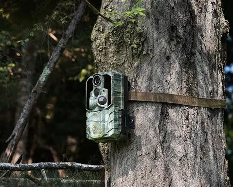 Troubleshooting Common Trail Camera Issues Step By Step Guide Wosports