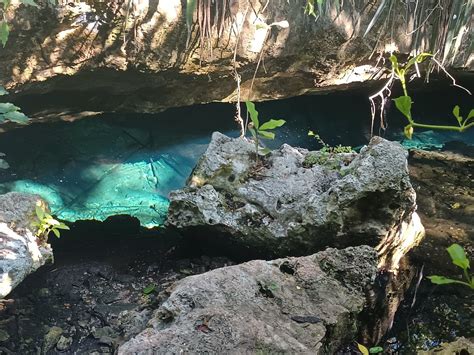 Itzae Tours And Travel 2026 All You Need To Know Before You Go With Reviews