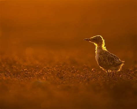 About Me Curious To Know Me Mohammad Murad