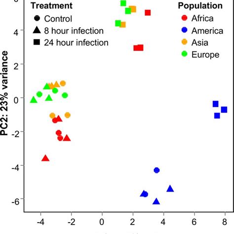 Pca Plot Principle Component Analysis Of Gene Expression Profiles Of