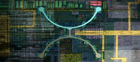 A Novel System For Human Whole Genome Structural Variation Analysis Hitachi High Tech In The U