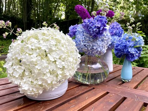 Hydrangea Bouquets Poezy