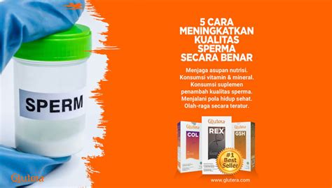 5 Cara Meningkatkan Kualitas Sperma Secara Benar Times Indonesia
