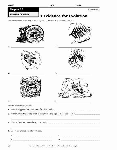 Evidence Of Evolution Worksheet Chessmuseum Template Library