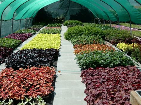 Inspiration Baumschule