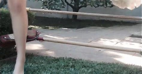 Hover Dog Imgur