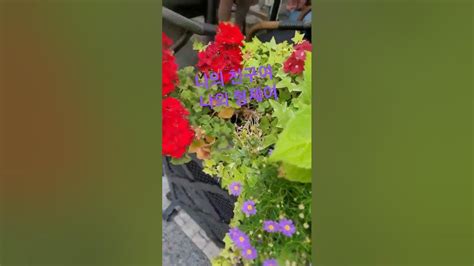 나의친구여나의형제여 Youtube