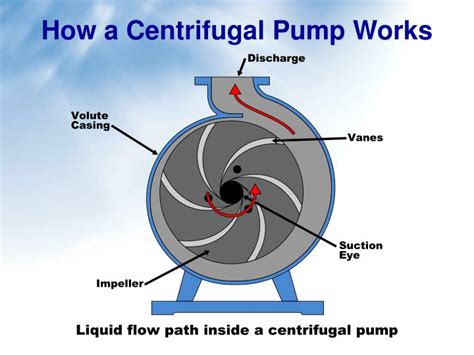 Centrifugal Water Pump Function At Bruce Harris Blog