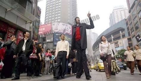 這些人比姚明還高，卻因身高發愁 每日頭條