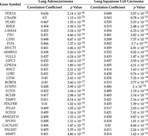 List Of Genes Whose Expression Were Significantly Correlated With Download Scientific Diagram