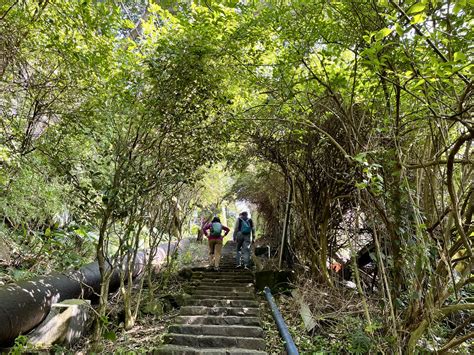 2025台北登山步道「天母古道親山步道」水管路兩小時登山全攻略