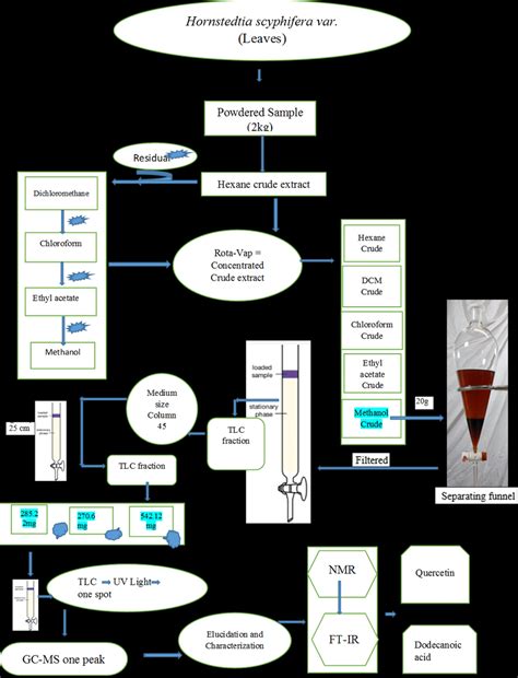Flow Chart For Isolation Of Pure Compounds Download Scientific Diagram
