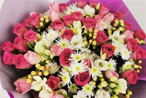 Ziedu Puškis Rozes Ar Akcentiem Ziediogrelv