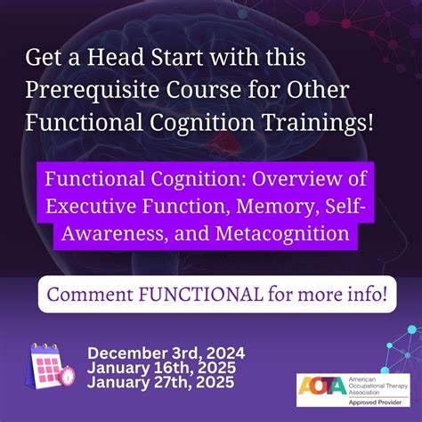 The Functional Cognition Overview Of Executive Function Memory Self Awareness And