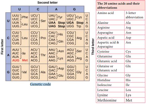 Microbial Genetic Code Table Names And Numbers