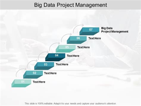 Big Data Project Management Ppt Powerpoint Presentation Portfolio Elements Cpb