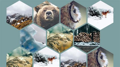 css hexagons hexagonal responsive grid example css mix