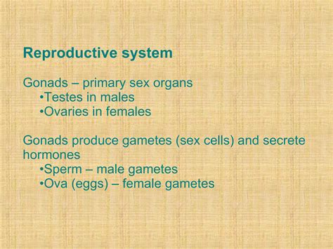 Reproductive 20 System[1] Ppt