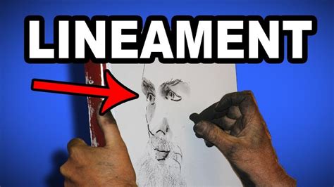 Assiduous In A Sentence Words In A Sentence