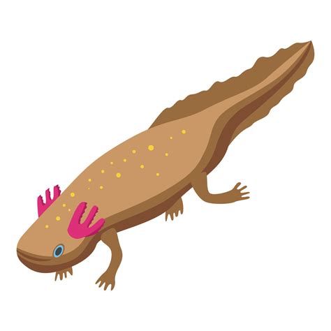 Icono De Ajolote Estilo Isométrico 15651704 Vector En Vecteezy