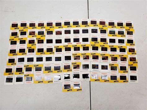 Provacative And Pornographic Slides Lil Dusty Online Auctions All