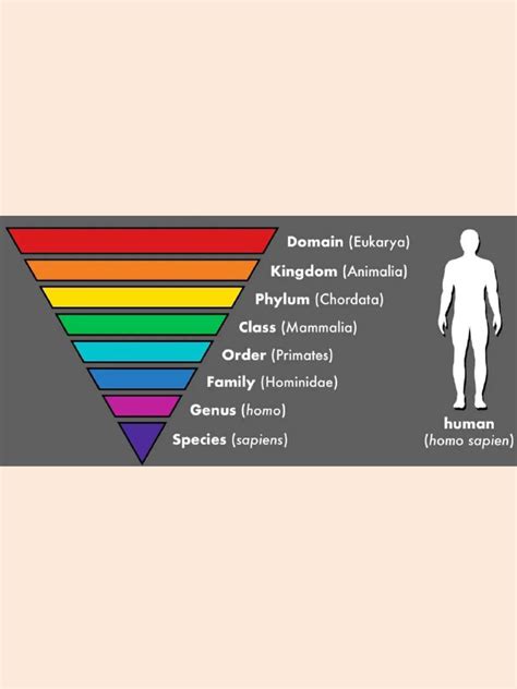 Grade 9 Unit 2 Characteristics And Classification Of Organisms Pdf