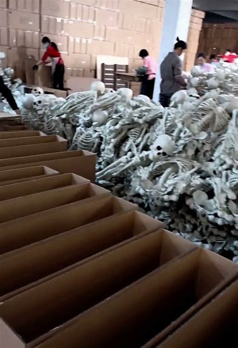 中国の骸骨工場／chinas Skeleton Factory／中国的骷髅头工厂 Youtube
