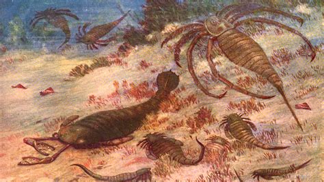 This Epic 8 Foot Giant Sea Scorpion Is A Wonder Of Marine Biology