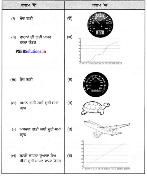 PSEB th Class Science Solutions Chapter ਗਤ ਅਤ ਸਮ PSEB Solutions