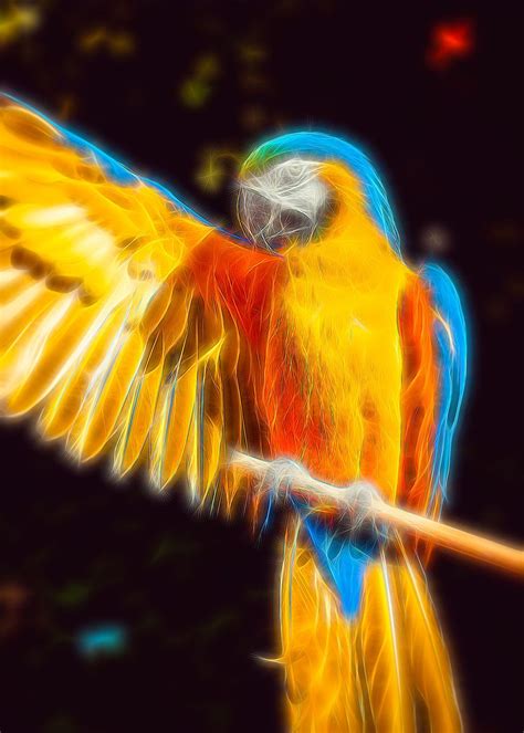 Parrot Fractal Poster Picture Metal Print Paint By Ranking Displate Parrot Fractal Poster Picture Metal Print Paint By Ranking Displate