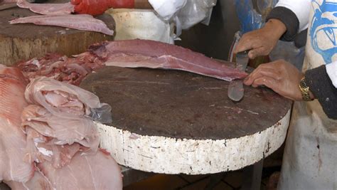 Emite Imss Baja California Sur Recomendaciones Para Conservación De Pescados Y Mariscos Noticabo