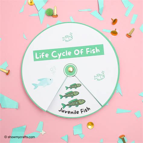 Flying Fish Life Cycle At Mildred Powell Blog