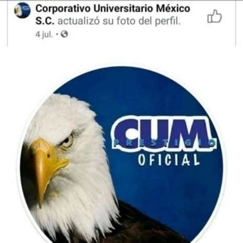Top Memes De Aguila En Español Memedroid
