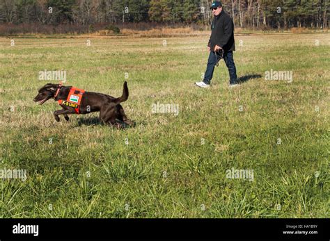 The Usdas Nutria Eradication Program Focused On Controlling Invasive Nutria Populations In