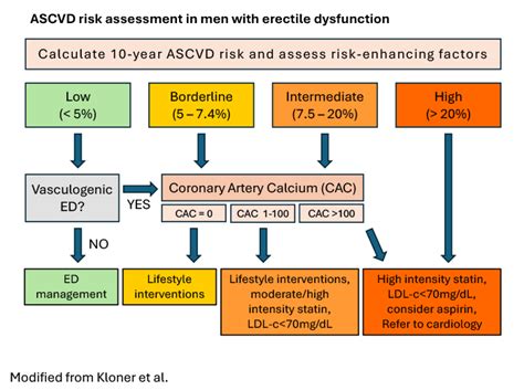 Erectile Disfunction As An Ascvd Risk Enhancing Factor Highlights From