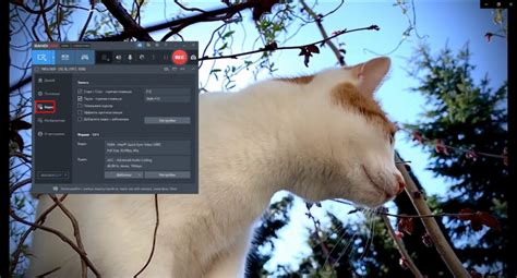 Как записать видео с экрана простые способы для новичков