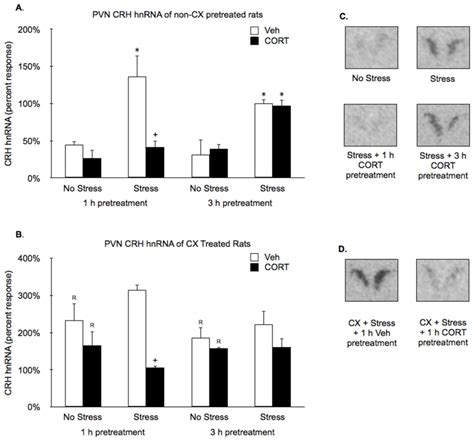 Effects Of CORT Pretreatment On Basal And Stress Induced PVN Crh HnRNA Download Scientific
