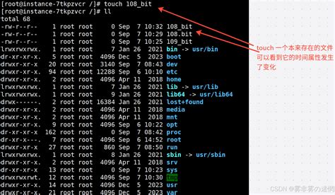 《linux 基础指令实战:新手入门的命令行操作核心教程(第一篇)》 Csdn博客 《linux 基础指令实战:新手入门的命令行操作核心教程(第一篇)》 Csdn博客