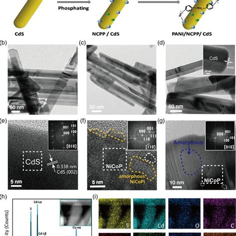 Fundamental Understanding Of The Synthesis Process Of Electrocatalyst A